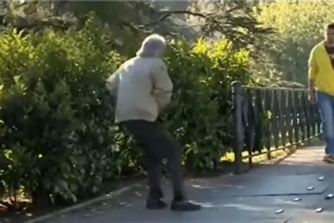 Deda I Baba U žbunu