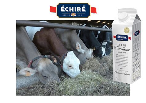 Échiré Le Panier De La Ferme