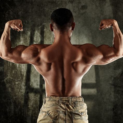 Trainers Take How Many Back Exercises And Sets Per Week Set For Set