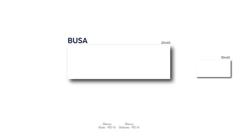 Busa Visualizador