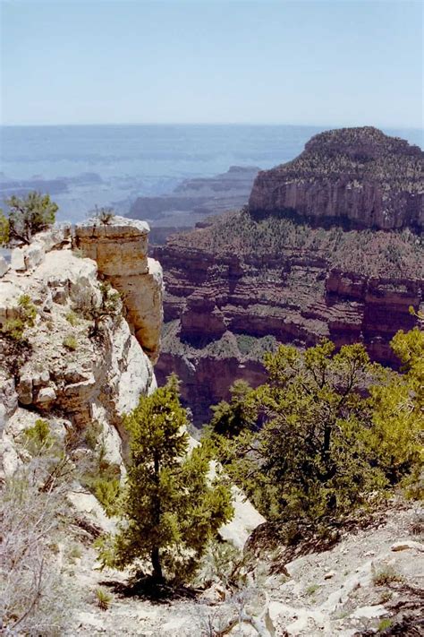 Cape Royal Drive Hiking Trail North Rim Grand Canyon National Park