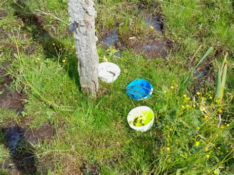Final Arthropod Sampling Biowetland