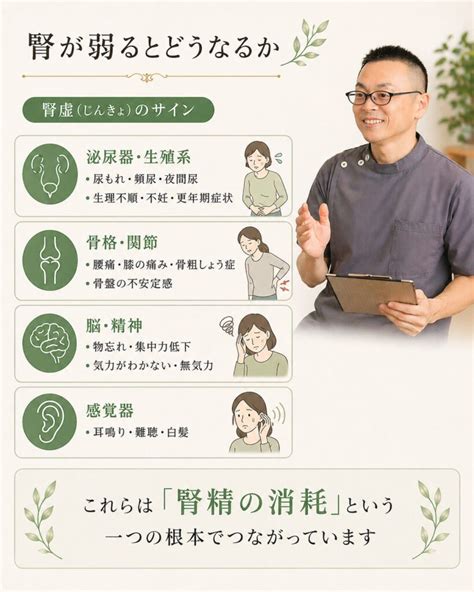骨盤の弱りは生命力の弱りと同じ｜東洋医学で見る骨盤と腎の深いつながり