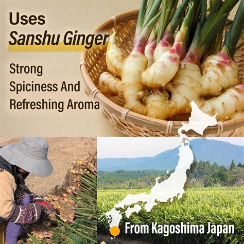 Japanese Gummy Candy Ginger Flavor Yamasan Co Ltd