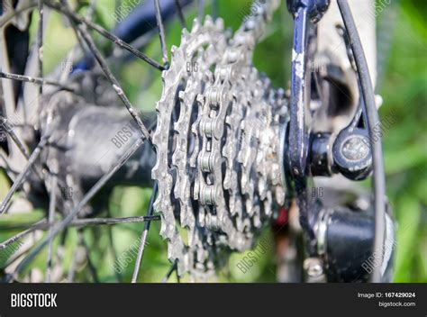 Rear Bike Cassette On Image And Photo Free Trial Bigstock