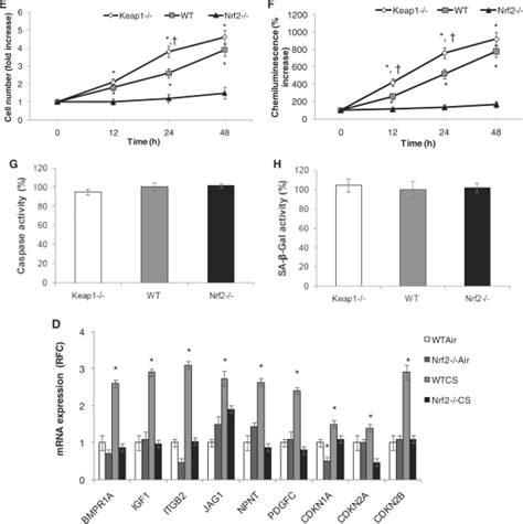 Global Mapping Of Binding Sites For Nrf2 Identifies Novel Targets In