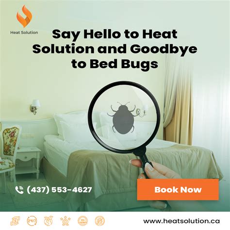 Effective Bed Bug Heat Treatment A Comprehensive Guide Heat Solution Bed Bug Heat Treatment