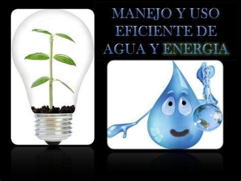 Profesora Libia Botello Plan Integral Ahorrar Agua Y EnergÍa