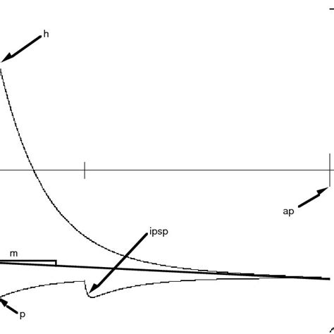 The Extended Leaky Integrator Adds A Refractory Period To H Just
