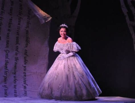 Cinderella In Into The Woods Cinderella Broadway Dress Cinderella