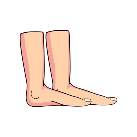 Cartoon Illustration Foot Isolated White Backgound 8289391 Vector Art