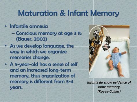 Ppt Development Through The Lifespan Powerpoint Presentation Free