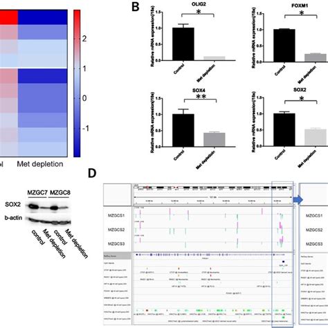 A Microarray Analysis Using Metascape Heat Map Showing Commonly