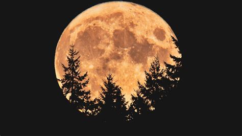 Harvest Moon Photography