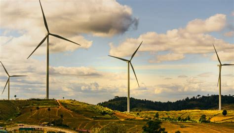 Home Polytechnique Insights