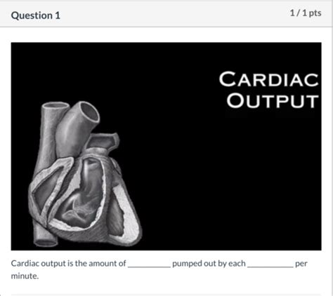 Physio Ch 13 Lab Practical Flashcards Quizlet