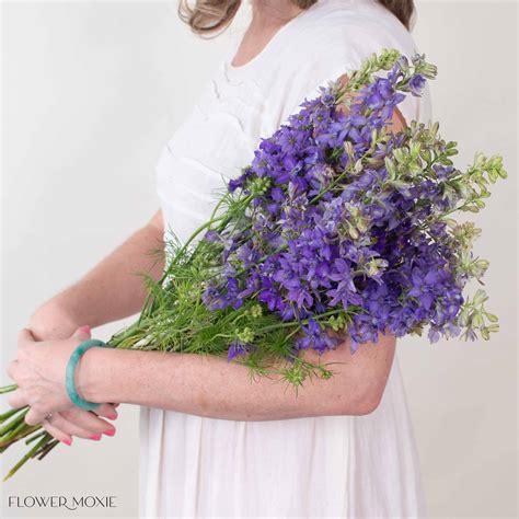 Larkspur Flowers Diy Wedding Flowers Flower Moxie