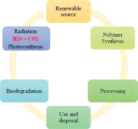 Life Cycle Of Biodegradable Polymers Derived From Renewable Sources Download Scientific