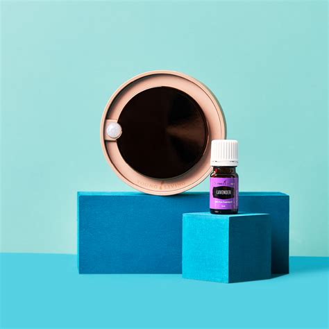 Wall Plug Oil Diffuser At Travis Poteete Blog