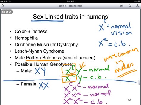 Genetics 11b Examples Of Sex Linked Genes In Humans Science Showme