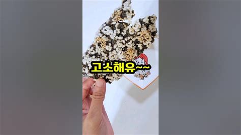 빠삭빠삭한게 미쳤어유 김부각 시장 Shorts Youtube