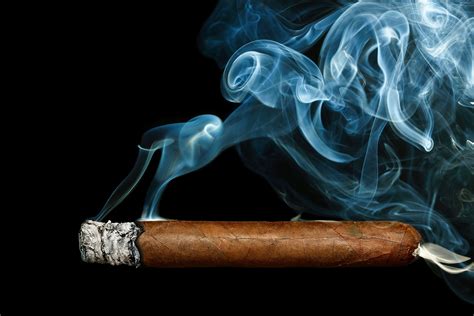 How To Choose The Right Cigar For Your Taste And Budget In Fargo