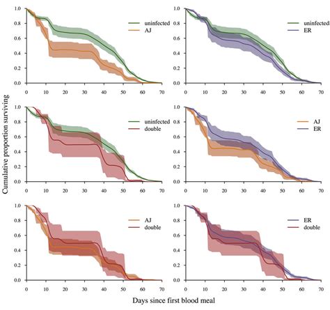 Infection Status And Vector Survival Survival Curves Depending On