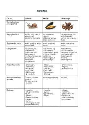 Cechy Kręgowców I Bezkręgowców Klasa 6 Tabela I Przykłady Biologia Knowunity