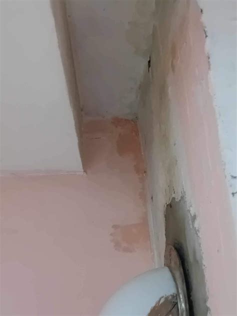 Anna Zsofia Bajomi Dr On Linkedin In June Hungary Witnessed Strong