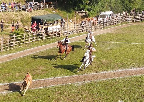 Fdsa Associazione Lagone Nuovo