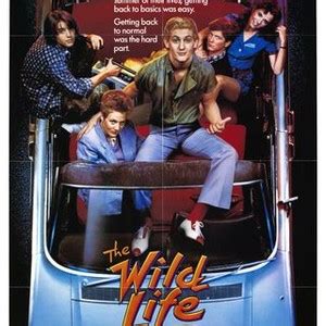 The Wild Life Rotten Tomatoes