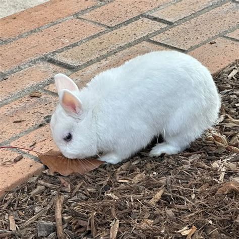 Kylei Kilee Reads On Threads