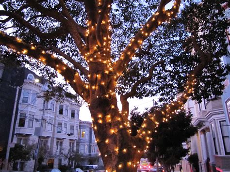 15 Inspirations Brightening Up Your Big Tree The Art Of Outdoor Lighting