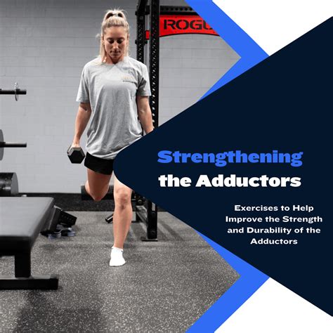 Adductor Longus Strengthening Exercises