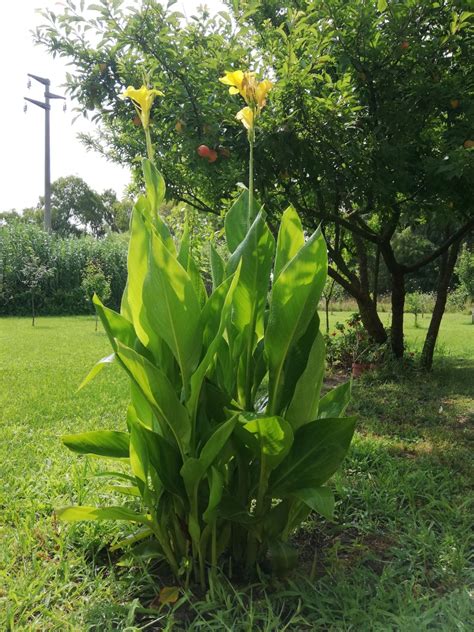 Today On My Estate It Is Beautiful To Live In Contact With Nature Our
