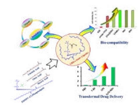 Schematically Represented The Synthesis Pathway Solubility Download Scientific Diagram