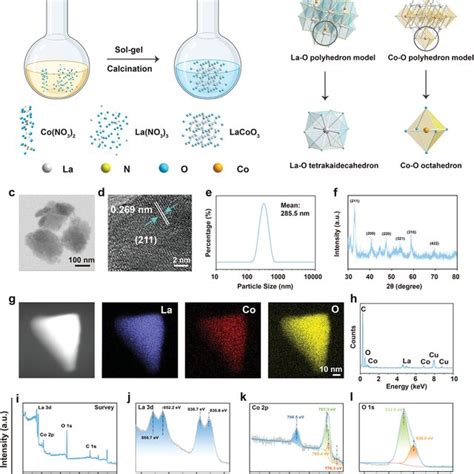 Pyroptosis Induced By Us‐enhanced Enzyodynamic Strategy A Schematic