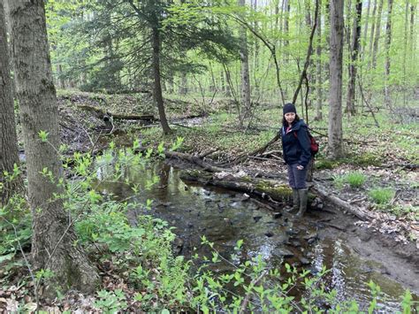 Explore Forests Streams And Other Wild Areas With Cleveland Museum Of Natural History Photos