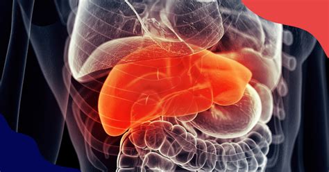 How To Control Premature Ejaculation Top Pre Sex Techniques Mens Health Clinic Au