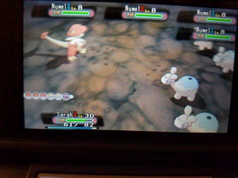 6 Finally After Phasing In November I Found My Shiny Camel After