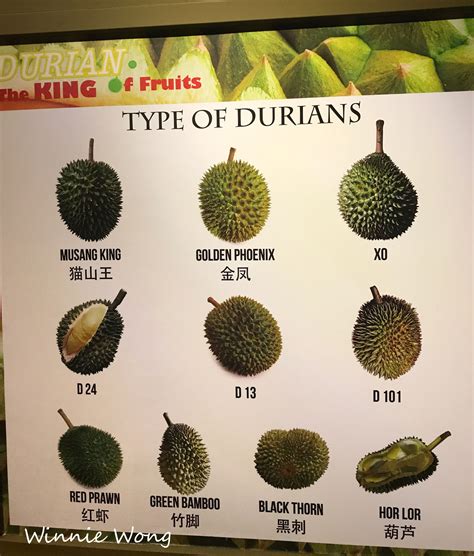 The King Of Fruits Durian Museum