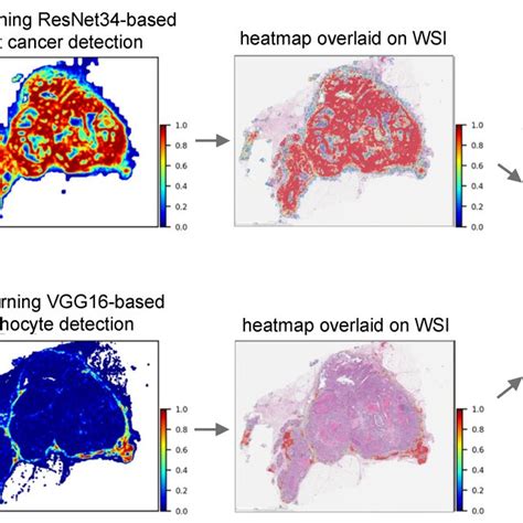 Machine Learning And Computer Vision In Computational Pathology To