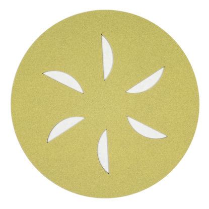 Norton Sand Dollar Disc 16