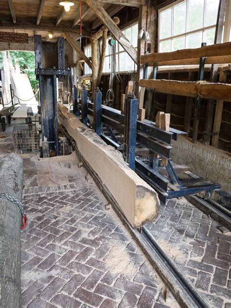 Sawing A Tree Stock Image Image Of Machinery Sawing 34495989