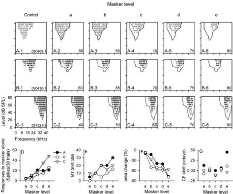 Three Representative Neurons Showing Level Dependent Modulation Of