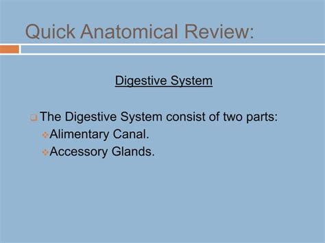 Digestive System Radiography Ppsx