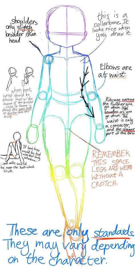 Skinny Girl Anatomy Ref By Sassytutorials On Deviantart