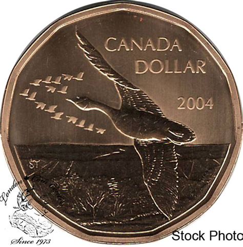 Canada 2004 1 Canada Goose Loonie Specimen London Coin Centre Inc