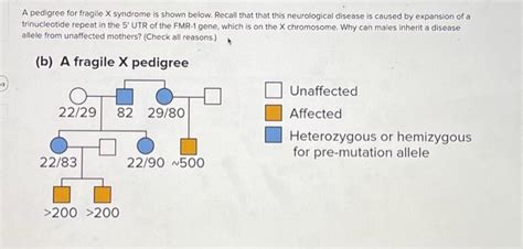 Solved A Pedigree For Fragile X Syndrome Is Shown Below