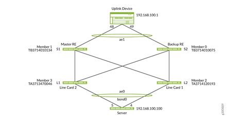 Migrate A Virtual Chassis Fabric To An Evpn Vxlan Bridging Overlay Fabric Juniper Networks